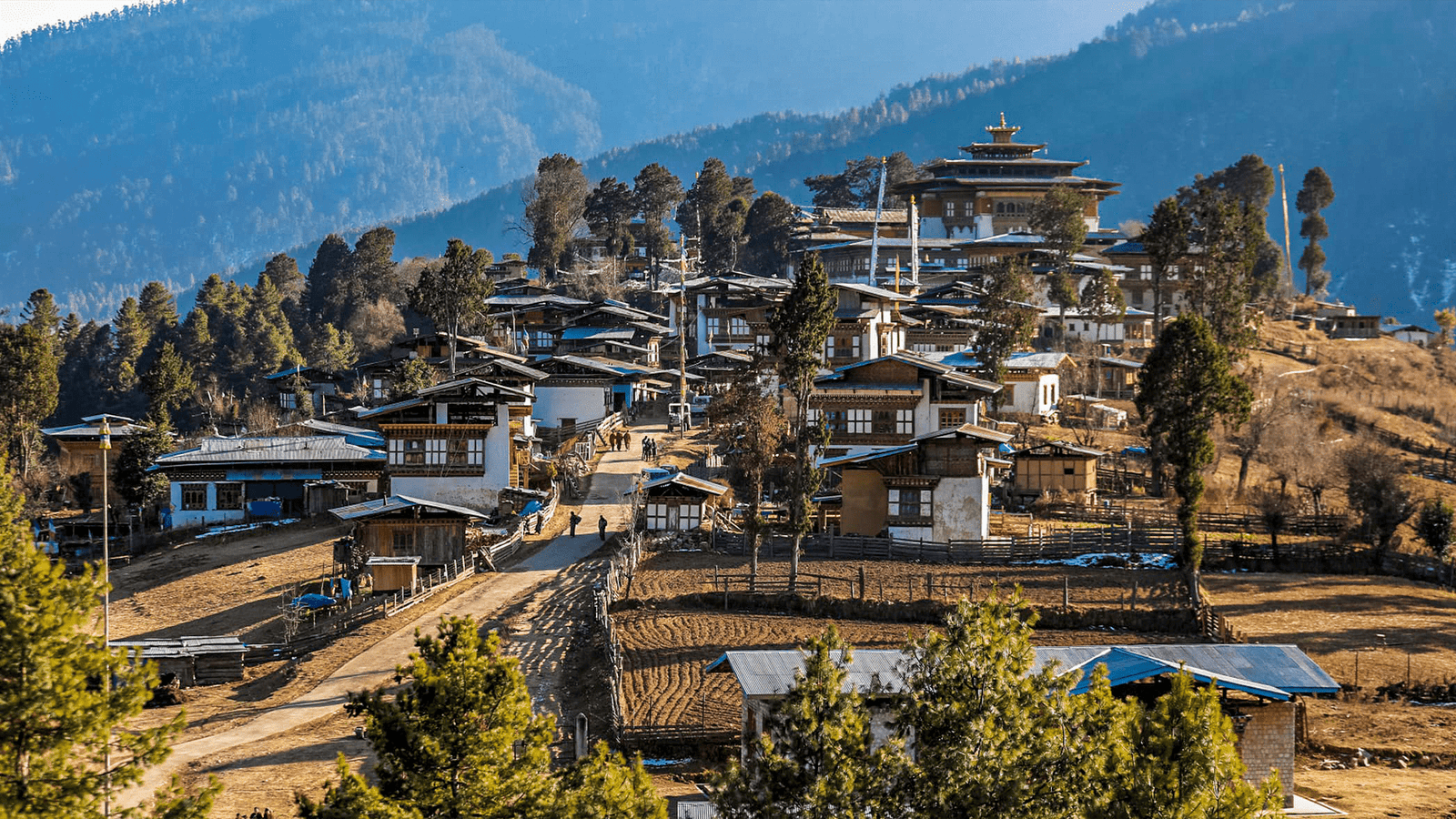 7 Days Bhutan Tour - Bhutan Trip Planner